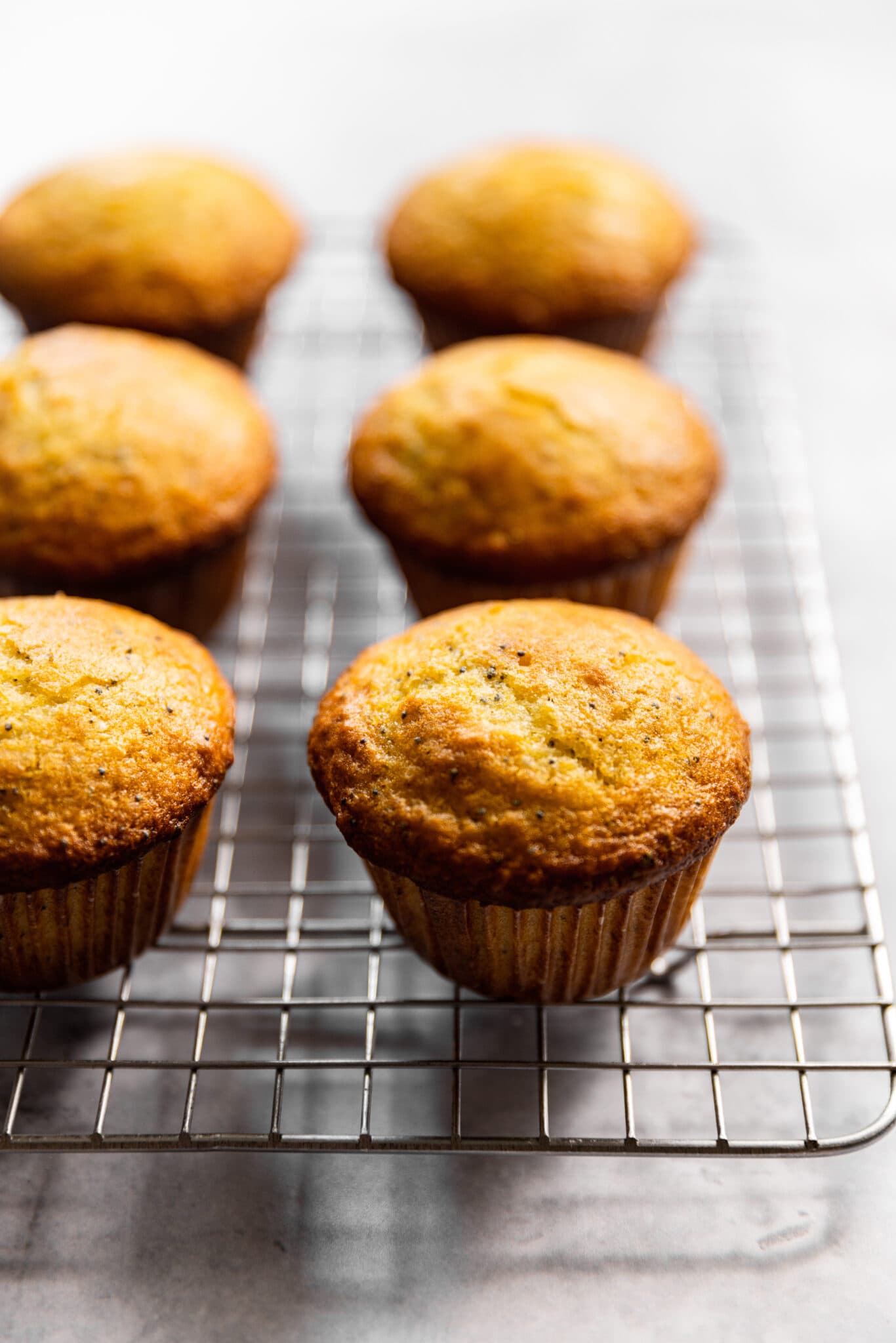 Moist Small Batch Lemon Poppy Seed Muffins – MikeBakesNYC